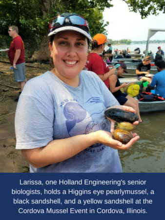 Environmental – Holland Engineering