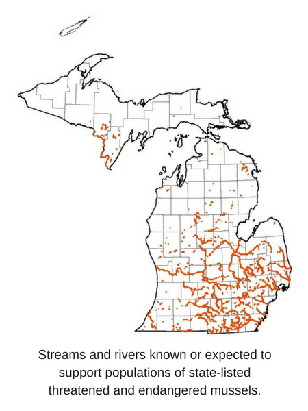Michigan releases new mussel protocols for 2018. Are you up to date ...