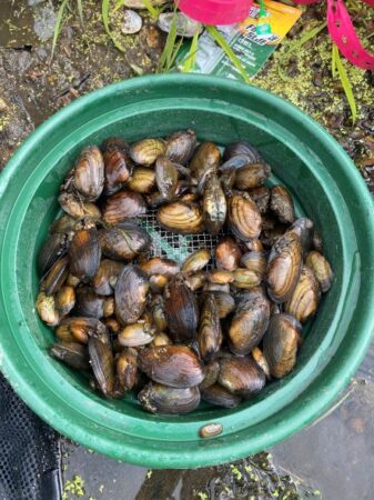 Environmental – Holland Engineering